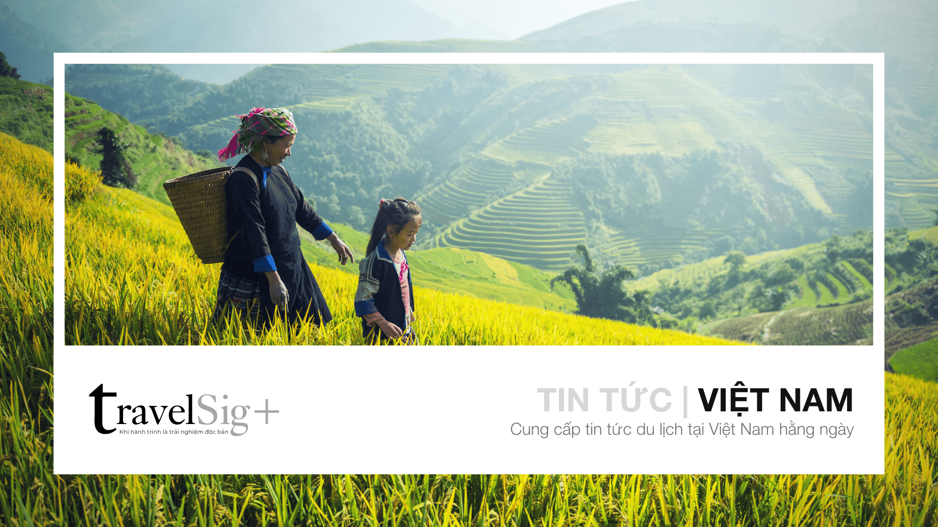 Tin Tức Việt Nam - Cung cấp tin tức du lịch đa chiều tại Việt Nam hằng ...