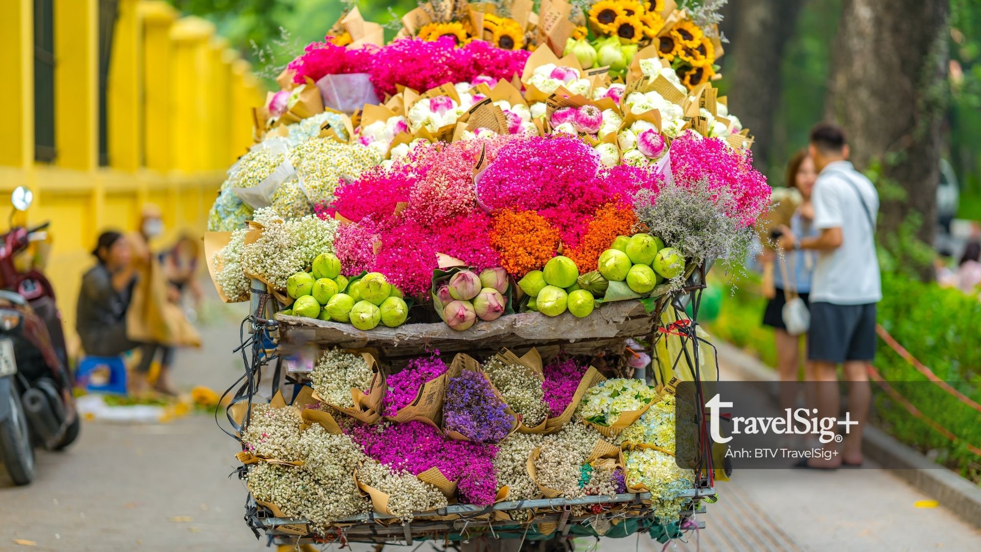 Nhớ mùa thu Hà Nội - Khúc giao mùa dịu dàng níu bước người xa