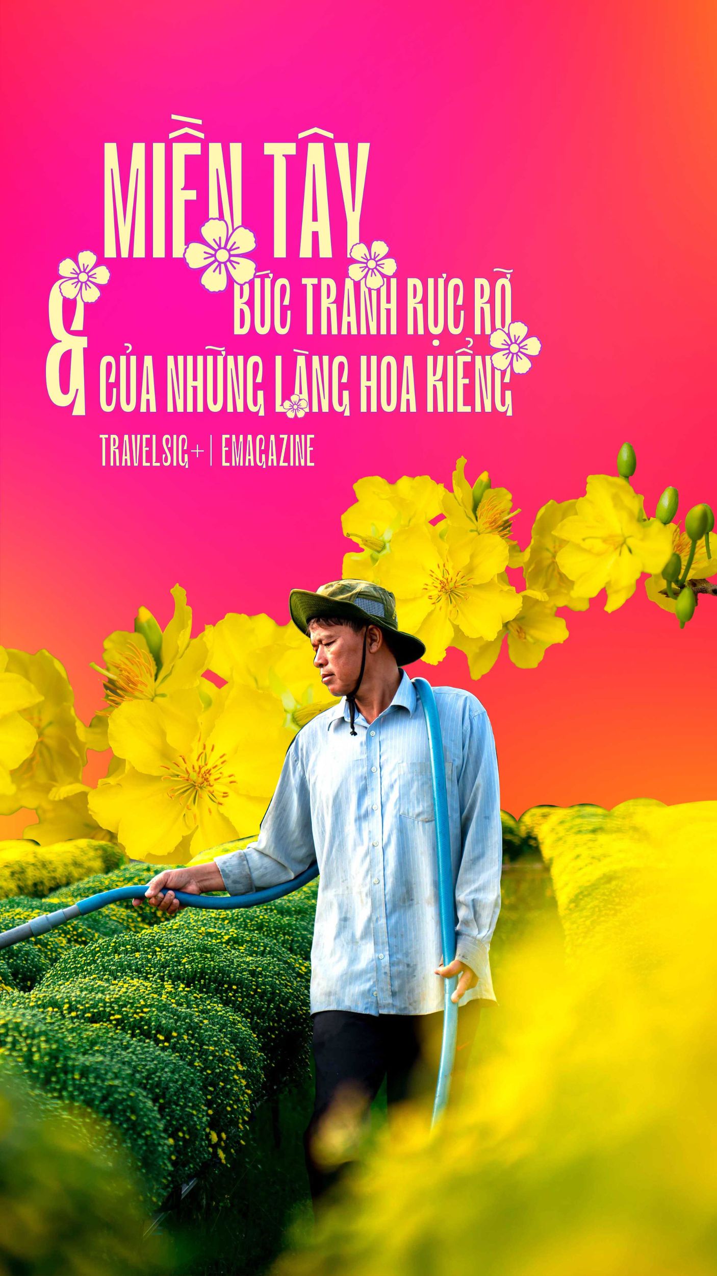 Xuân trên đất Việt: Bản tình ca của những sắc hoa