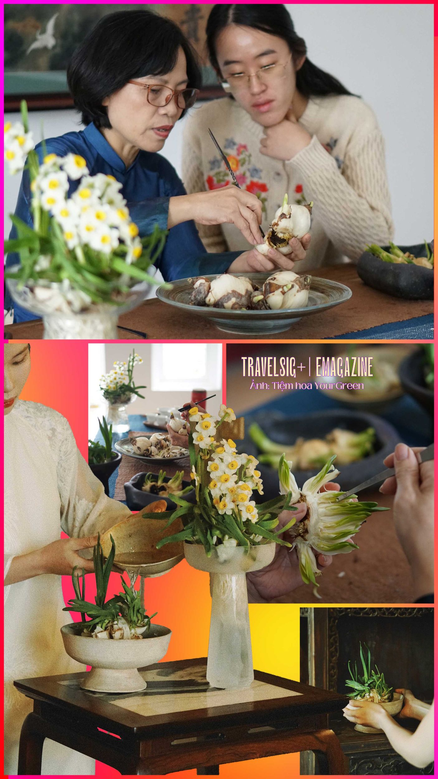 Xuân trên đất Việt: Bản tình ca của những sắc hoa