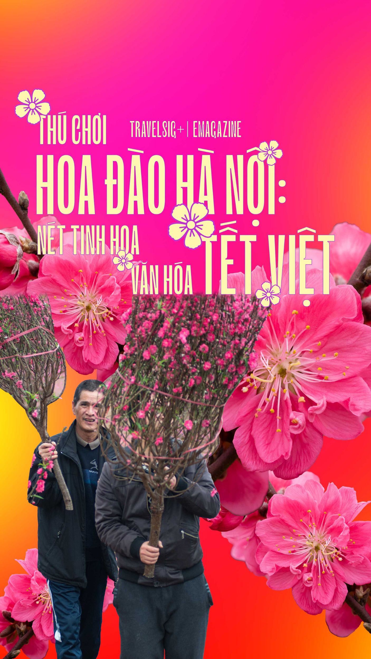 Xuân trên đất Việt: Bản tình ca của những sắc hoa